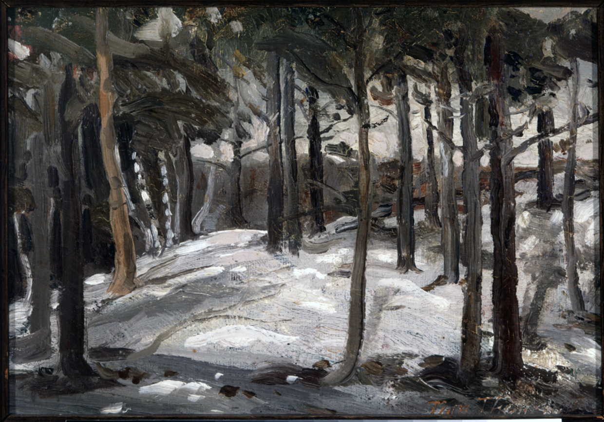 Woods in Winter, 1913 (1912.01) | Catalogue entry | Tom Thomson ...