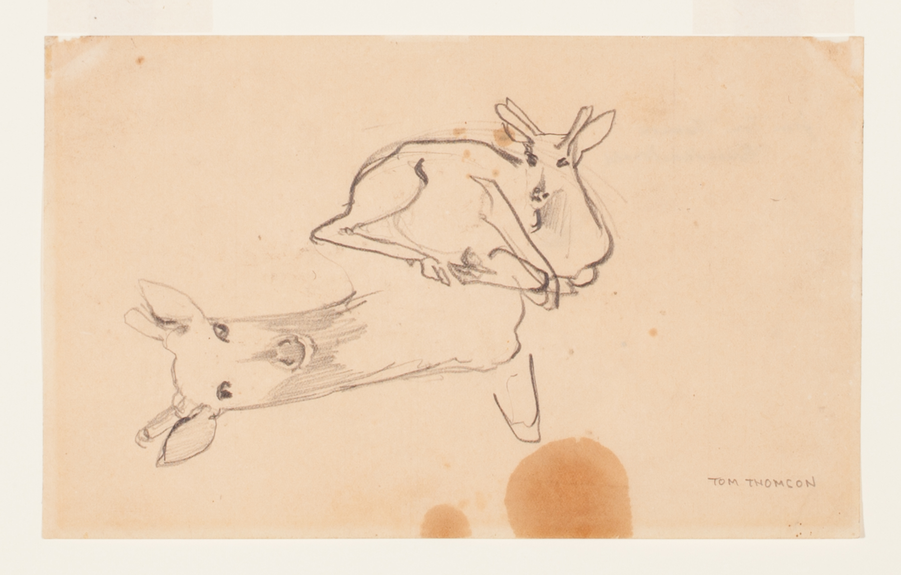 Deer, Fall 1915 (1915.79) | Catalogue entry | Tom Thomson Catalogue ...