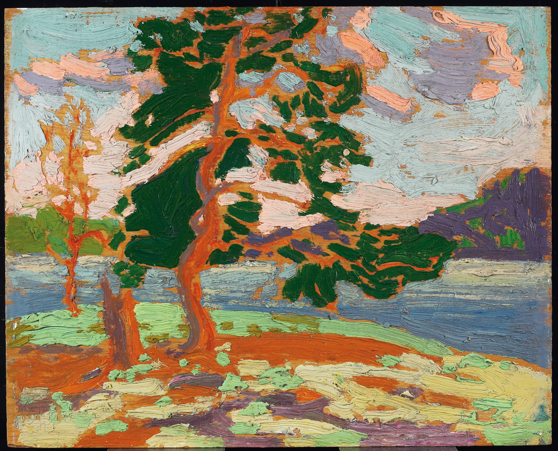 Pine Tree, Summer 1916 (1916.84) | Catalogue entry | Tom Thomson ...