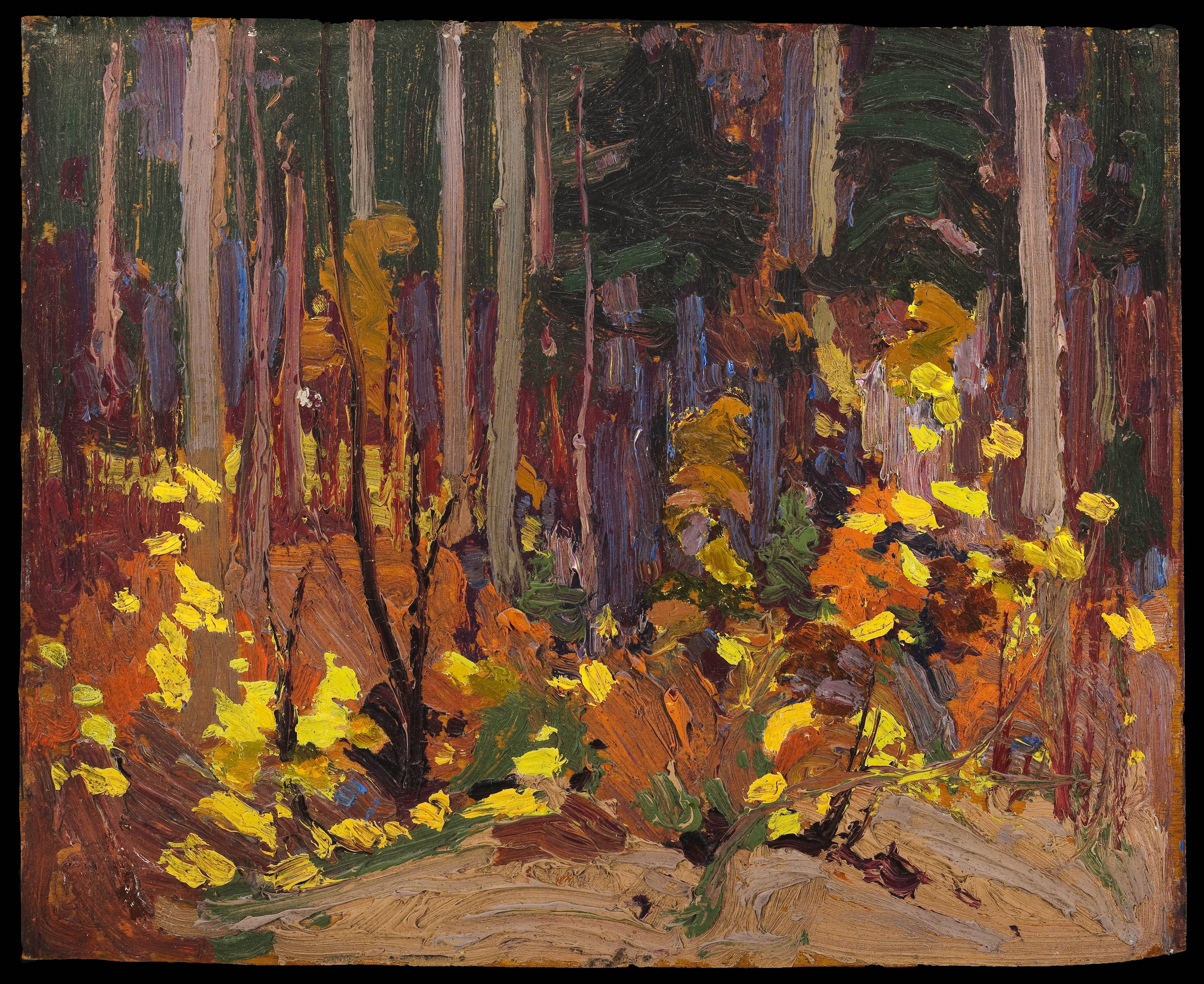 Dappled Thicket, Fall 1916 (1916.141) | Catalogue entry | Tom Thomson ...